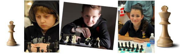 The Schein – Friedman Scholastic Recognition Project – The U.S. Chess Trust
